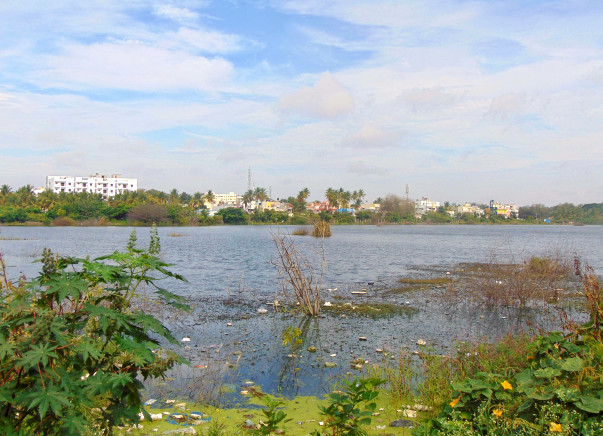 10 lakes of Bengaluru that need immediate attention